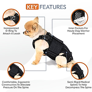 Dog Back Brace with Soothing Heat Warmers for IVDD - Pain Relief for Arthritis - Spinal Surgical Recovery - Herniated & Slipped Disc - Made in USA (Small)