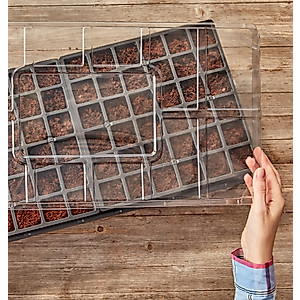 Burpee Self-Watering Seed Starter Tray, 72 Cells