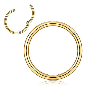 Afftiny 16G Gold Small Nose Rings 7MM Hoop Earrings Hinged Clicker Hypoallergenic Stainless Steel Cartilage Piercing Ring