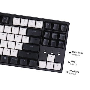 Keychron C1 Hot-swappable Wired Mechanical Keyboard with Gateron G Pro Blue Switch/Double-Shot ABS Keycaps/White Backlight/USB Type-C Cable, Tenkeyless 87 Keys Computer Keyboard for Mac Windows PC