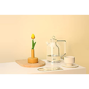 Electric Kettle, ASCOT Glass Electric Tea Kettle 1.6L 1500W Retro Tea Heater & Hot Water Boiler, No Plastic, BPA-Free, Cordless, with Auto Shut-Off and Boil-Dry Protection (Creme)