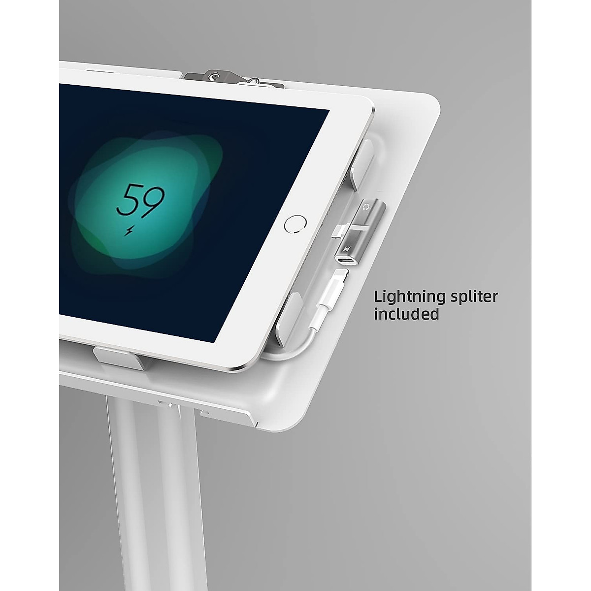 Beelta Tablet 10.2 Floor Stand Kiosk Compatible with 10.2 iPad 7 8 9 Anti Theft Key Lock Swivel BSF301T