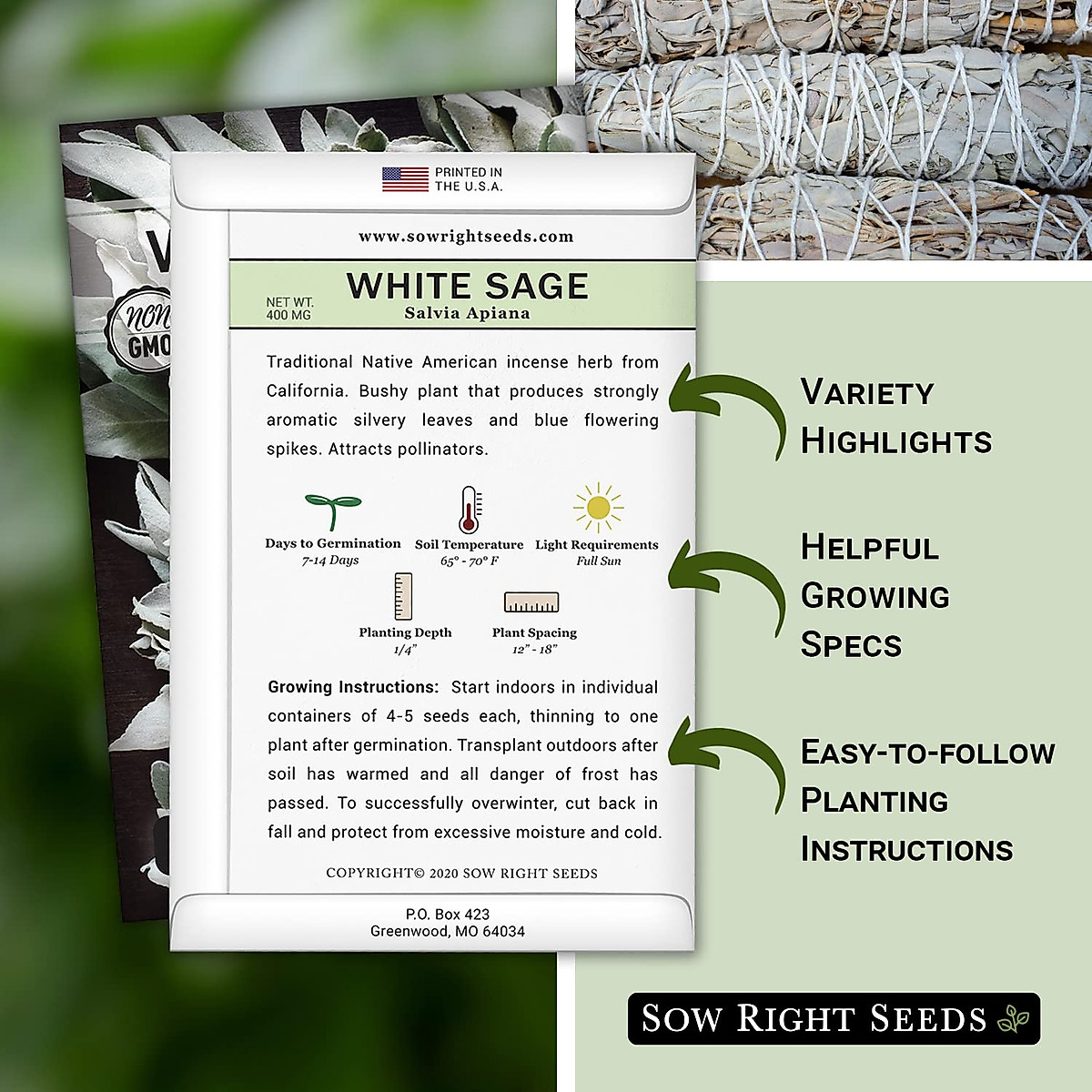 Sow Right Seeds - White Sage Seed for Planting - Non-GMO Heirloom Packet with Instructions for Planting and Growing a Home Herb Garden - Indoors or Outdoors - Make Your Own Herbal Incense (2)