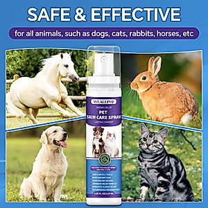 WEALLIN Hot Spot Itch Relief Spray for Dogs & Cats, Hot Spot Treatment for Dogs Itch Relief Spray for Dogs, Pet Treatment Spray for Itchy, Irritated Skin, Allergy, Rashes, Wound Care(4.06 Fl Oz)