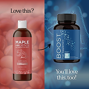 Argan Oil Shampoo for Dry Hair - Sulfate Free Shampoo for Damaged Hair and Frizz with Argan Oil for Hair - Volumizing Shampoo for Hair Shine and Volume Featuring Ultra Moisturizing Natural Oils