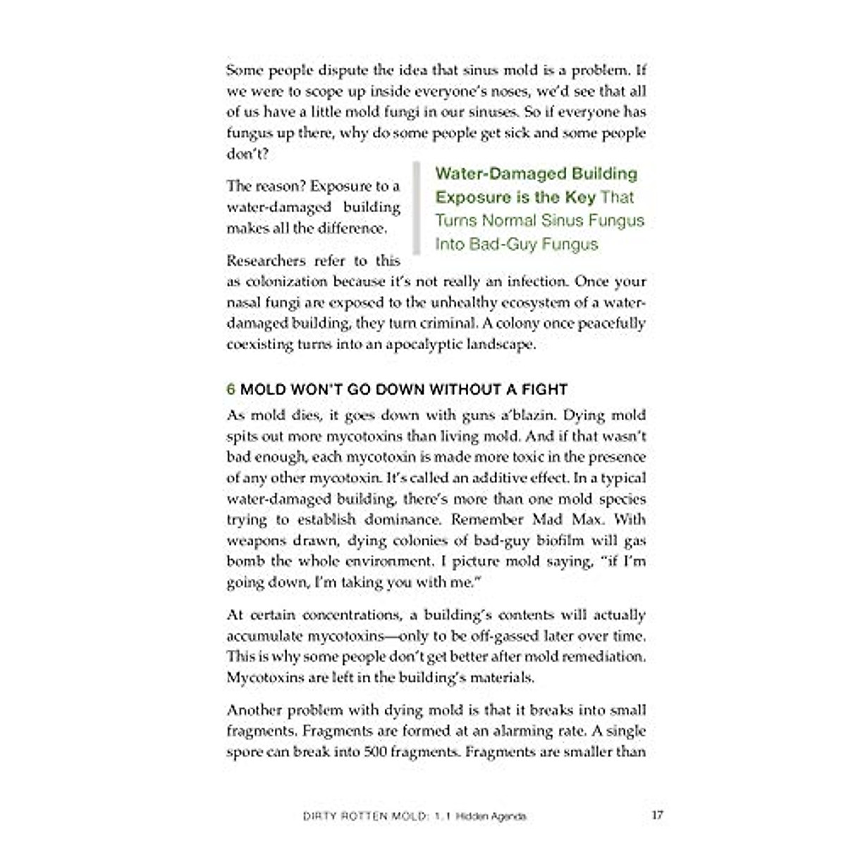 Break the Mold: 5 Tools to Conquer Mold and Take Back Your Health