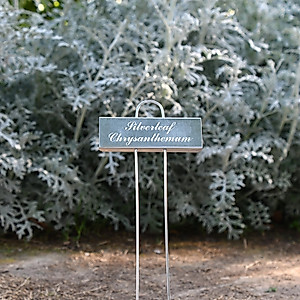 Cureder 30 Pack Metal Plant Labels for Outdoor Garden Waterproof Plant Markers, Labels Garden Markers for Seedlings Herbs Vegetable Greenhouse Gifts, with Pen