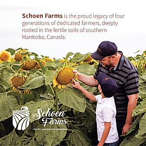 Schoen Farms Black Oil Sunflower Seeds for Birds (6 LBS)