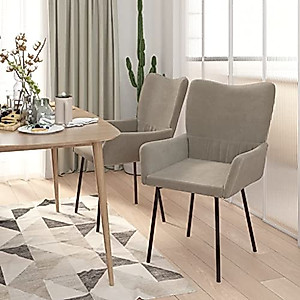 vidaXL Modern Velvet Dining Chairs, Set of 2, Light Gray, Comfortable Foam Padding, Durable Metal and Plywood Construction, Easy Clean