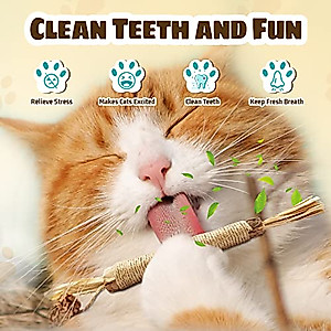 XGXN Cat Toy with Silvervine for Cats, Silvervine Sticks Interactive Cat Toys for Indoor Cats, Edible Catnip Cat Chew Toys for Cats Lick, Kitten Teeth Cleaning and Fresh Breath (3 Packs)