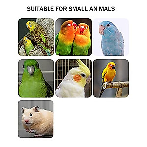 Hamiledyi 5 Pcs Parrot Perch Stand,Natural Wood Bird Perch Stand Platform Paw Grinding Sticks Cage Accessories Exercise Toys for Budgies Parakeets Cockatiels Conures Lovebirds