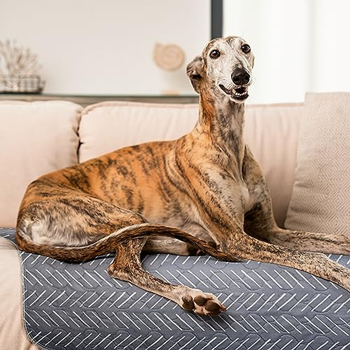 NALALAS Washable Pee Pads for Dogs - Dog Pads Washable Waterproof Dog Mat - Dog Pee Pads Washable Dog Potty Pad - Puppy Pee Pads Pet Training Pads - Dogs Reusable Pee Pads Dogs Whelping Pad 34" x 36"