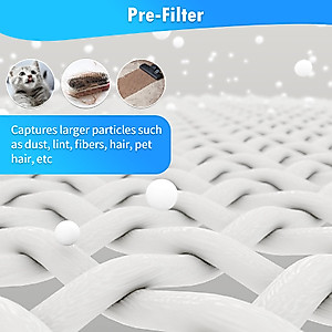 DerBlue 2pack HP100 HP102 HP152 True HEPA Replacement Filter Compatible with Shark Air Purifier HP100,HP102,HP130,HP132 and HC450, HC451, HC452, HC455,Compare Part #HE1FKPET, HE1FKBAS Filter
