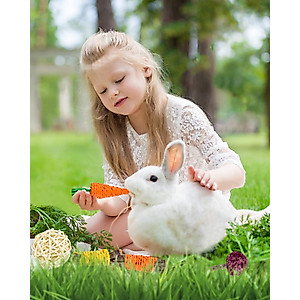 Sofier Rabbit Toys Bunny Toys Guinea Pig Toys 17pcs Natural Timothy Hay Treats Hamster Toys for Teeth Handmade Rabbit Treats and Chews Chinchilla Rat