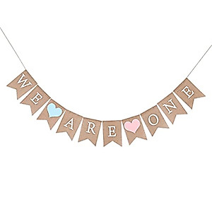 Twins Banner for 1st Birthday - We Are One Banner, Twins Birthday Party Banner, Twins Frist Birthday Decor, Girls Boys First Birthday Decoration,Photo Prop