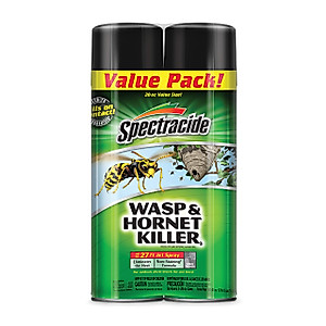 Spectracide Wasp & Hornet Killer, Kills Wasps & Hornets, 2 Count, 20 Ounce (Aerosol Spray)
