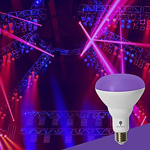 BR30 Black Light Bulb 2 Pack LED Black Light Bulbs,13W (100W Equivalent) BR30 E26 for Glow in The Dark, Level 385-400nm, Black Light Bulb for Blacklight Party, Body Paint Fluorescent Poster, Neon Glow