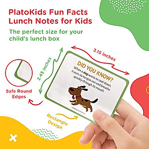 Lunch Box Notes for Kids – Pack of 60 Educational Lunch Box Notes - Lunch Notes Learning Flash Cards Kindergarten or School - School Lunch Accessories for Kids - Fun Facts Series 3