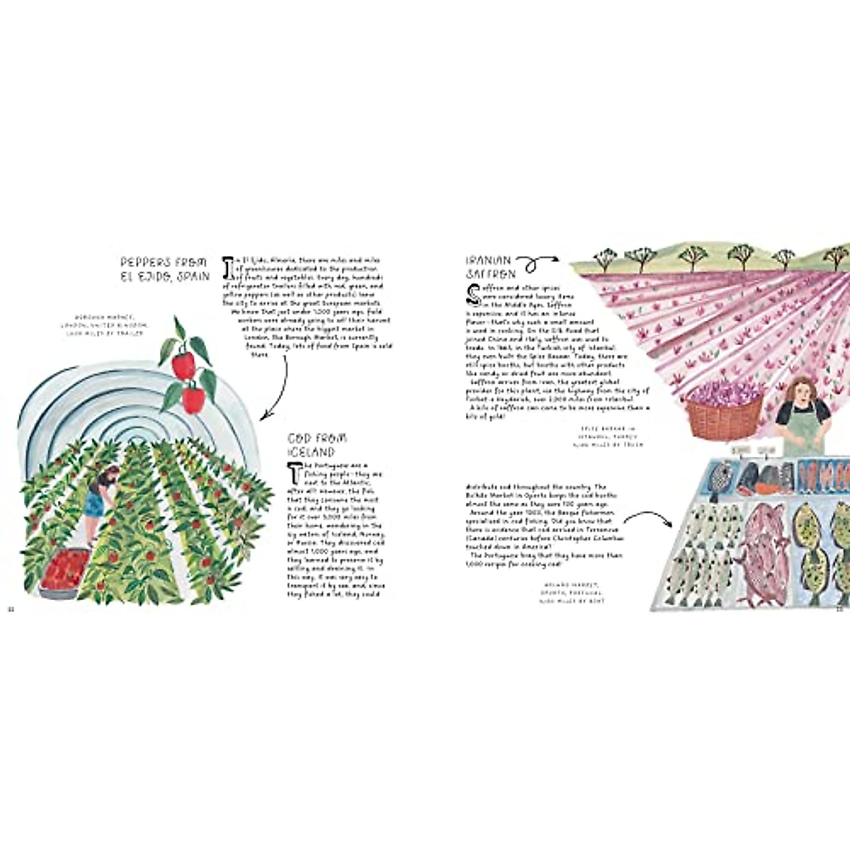 Markets: A World to Discover