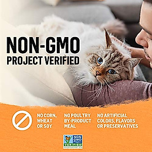 Beyond Purina Organic Pate Wet Cat Food Variety Pack, Organic Chicken Adult Recipes