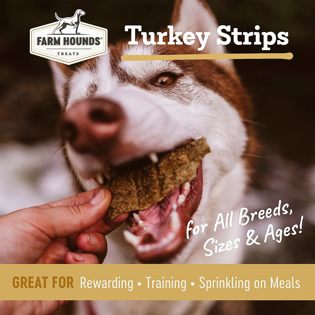 Farm Hounds Turkey Strips for Dogs, Natural & Healthy Dog Jerky Treats, Dog Chews & Snacks for Training & Rewarding, Made in USA, Turkey Strip Treat, 4.5oz