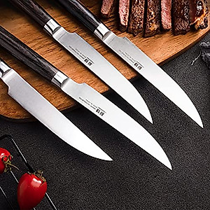 CHUZHEN Steak Knives Set of 4, Kitchen Steak Knife 5 Inch, High Carbon Stainless Steel, Non-serrated Blade, Pakkawood Handles, Dinner Knives with Gift Box