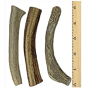 WhiteTail Naturals | 3 Pack Medium | Deer Antler Dog Chews | All Natural Organic Antlers for Dogs | Long Lasting Antler Bones for Dogs | Durable Antler Dog Toy