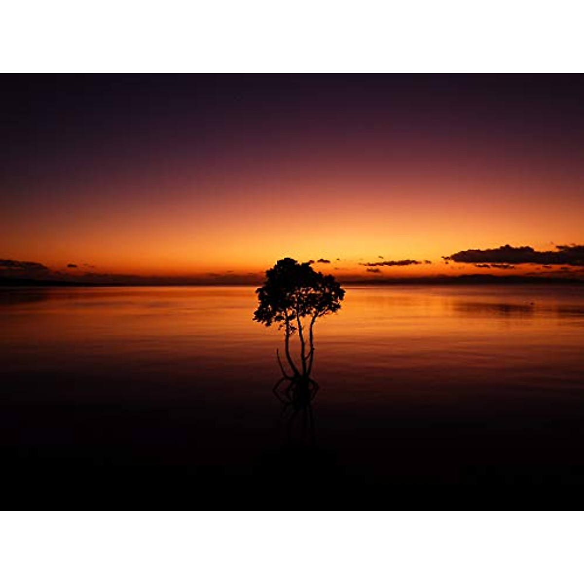 Ricoh WG-70 Black Waterproof Digital Camera 16MP