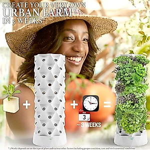 Nutraponics Hydroponics Tower - Hydroponics Growing System for Indoor Herbs, Fruits and Vegetables - Aeroponic Tower with Hydrating Pump, Timer, Adapter, Seeding Bed & Net Pots (Aqua 48)