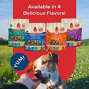 PLATO Small Bites Dog Treats, Natural Bite Sized Real Meat & Salmon Flavor, Grain Free & High in Protein, Air Dried Authentic Ingredients, 2 Calories Per Treat, Made in the USA, 6 Ounces