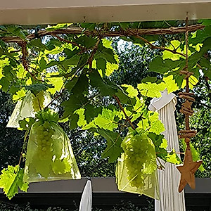 Miuezuth 100PCS Fruit Protection Netting Bags for Fruit Trees, 11x8 Inch Garden Mesh Barrier Bags to Protect Plants from Pest Birds Squirrels, Fruit Cover Mesh Bag with Drawstring, Reusable, Green