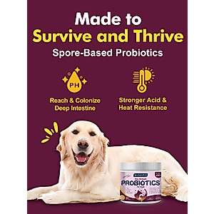 Probiotics for Dogs, Dog Probiotics for Digestive Health - Fiber Riched Prebiotic & Digestive Enzymes with Pumpkin, Omega-3, 6 Billion CFUs Support Gut & Immune Health, Diarrhea, Dog Allergy Relief