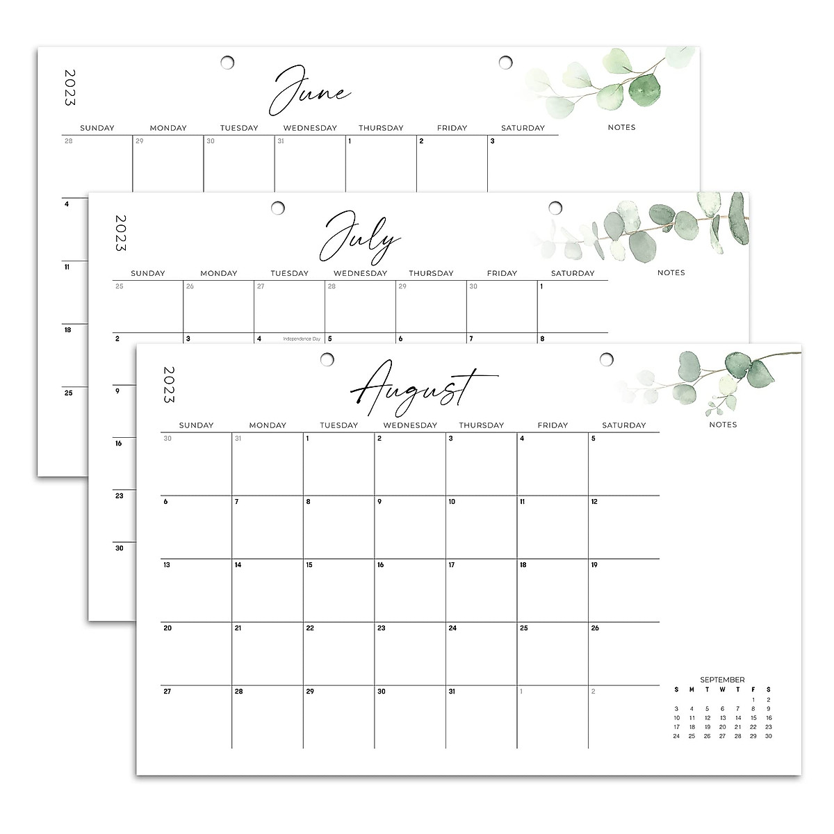 Aesthetic 2023 Modern Greenery Desk Calendar - Runs Until July 2024 - 17"x11" Desktop/Wall Calendar for Easy Organizing