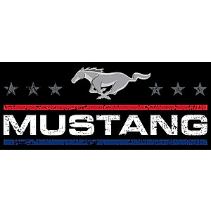 JH DESIGN GROUP Men's Ford Mustang Pullover Hoodie American Flag 2 Sided Sweatshirt (Small, Black)