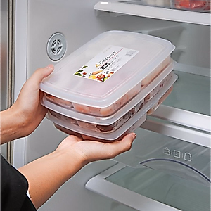 RHBLME 8 Pack Divided Food Storage Containers, Reusable 4 Compartment Food Container Food Storage Containers with lids, Multi Compartment Food Container for Storing Vegetables Meat Fish Fruits