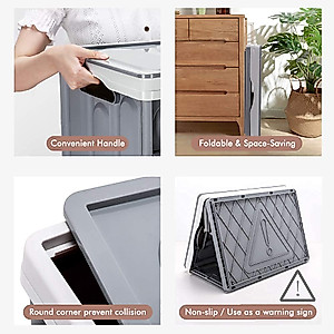 Homde Collapsible Storage Bins Bundle: 2 Gray Storage Boxes and 2 Blue Storage Boxes (Large)