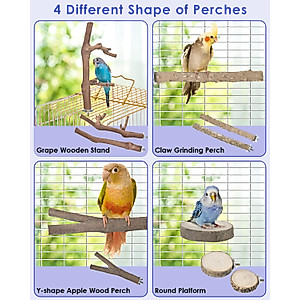 Bissap Bird Perch Stand 7PCS, Natural Grape Wood Pole Standing Parrot Cage Branch Paw Grinding Fork Parakeet Platform Hammock for Conures Budgies Finches Cockatiels Small Birds Exercise Training