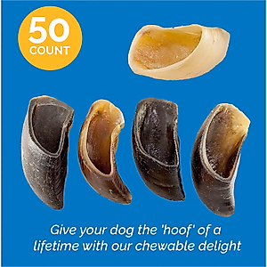 123 Treats | Cow Hooves for Dogs (50 Count) 100% Natural Long-Lasting Dental Dog Chews Made from Beef Hoof | from Free Range, Grass Fed Cattle with NO additives, Coloring or Chemicals