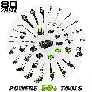 Greenworks Pro 80V (145 MPH / 580 CFM) Brushless Cordless Axial Leaf Blower, 2.5Ah Battery and Charger Included BL80L2510