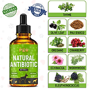 Antibiotic for Dogs | Dog Antibiotic | Antibiotics for Dogs | All Natural Antibiotics | Pet Antibiotics | Organic Ingredients | 2 oz