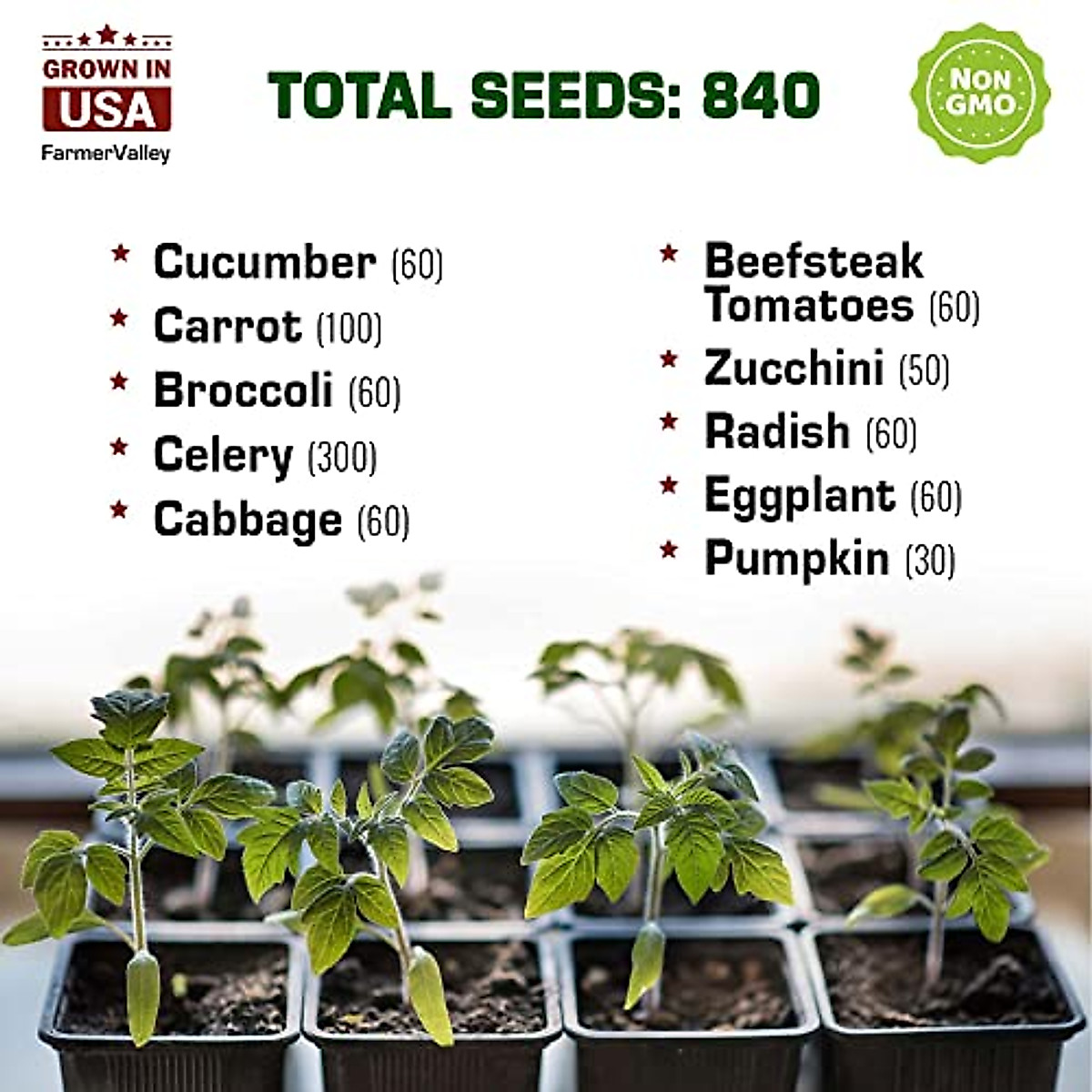 10 Assorted Vegetable Seeds - 100% Non GMO Variety Pack - 840+ Heirloom Garden Seeds for Planting Vegetables - Cucumber, Carrot, Tomatoes, Broccoli, Cabbage, Radish Seeds and More