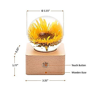 MISS LI GARDEN Forever Teddy Sunflower Crystal Ball with LED Lights,Best Gifts for Her Wife Girlfriend Women, Anniversary, Mothers Day, Birthday, Valentine's Day Home Décor