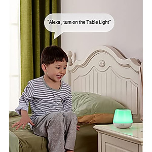 Lyridz Baby Sound Machine Night Light, White Noise Machine for Sleeping, Toddler Sleep Trainer with 24 Soothing Sounds, Time-to-Rise, Portable, 32 Lighting Effects DIY Colors, APP & Voice Control