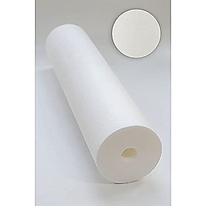 Filters Fast FFDG-20BB-1 Compatible Replacement for Pentek DGD-2501-20 Water Filter Cartridge, 20-Inch