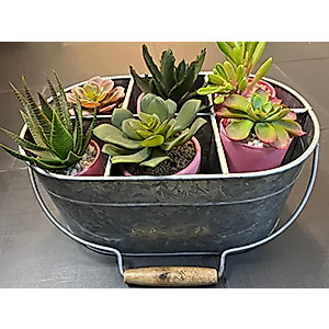 Hosley's Galvanized Carry All Kitchen Utensil Caddy Serve Ware 13 Inch Long. Ideal for Party Garden Patio. O4