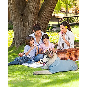 Kickred Basic Dog Hoodie Sweatshirts, Pet Clothes Hoodies, Granular Velvet, Sweater with Hat and Leash Hole, Soft Velvet Outfit Coat for Small Medium Large Dogs