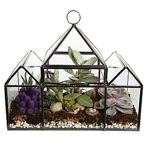 D'Eco Glass Castle Plant Terrarium (10x4.5x9) - Indoor Tabletop & Hanging Black Geometric Planter - Succulents, Air Plants, Moss, Fern - Home Garden Office Decor - Holiday (No Plants)