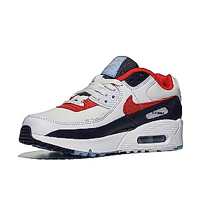 Nike Air Max 90 (Big Kid)