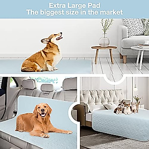 SOLOSHINE Reusable Pet Training Pads, Incontinence Bed Pads, 36X41 Inch (2 Packs) Washable Pee Pads with Fast Liquid Absorbing, Perfect for Dogs, Cats, Bunny & Senior