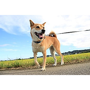 PET SUPPLEMENTS Joint Care for Dogs - Healthy Hip and Joint - for Dogs - Powerful Formula - CHEWABLE - Dog glucosamine Soft - 1 Bottle (120 Tablets)